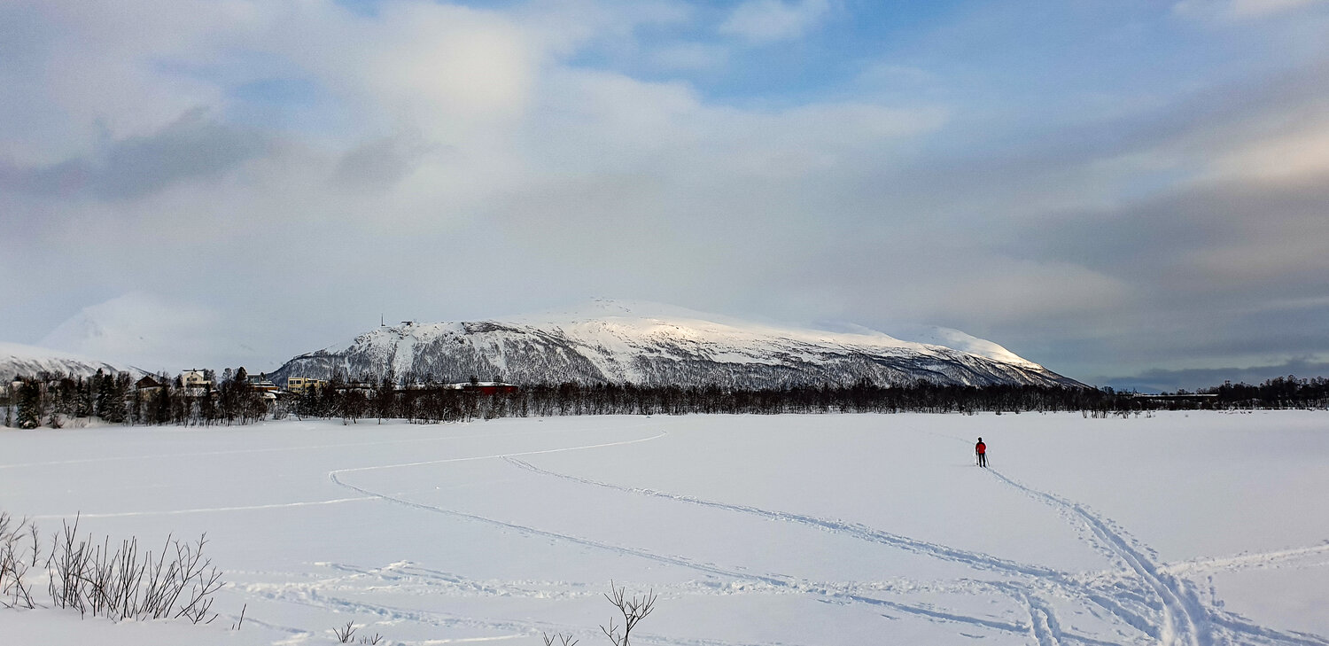 The High North begins to carefully open up for visitors | IceNews ...