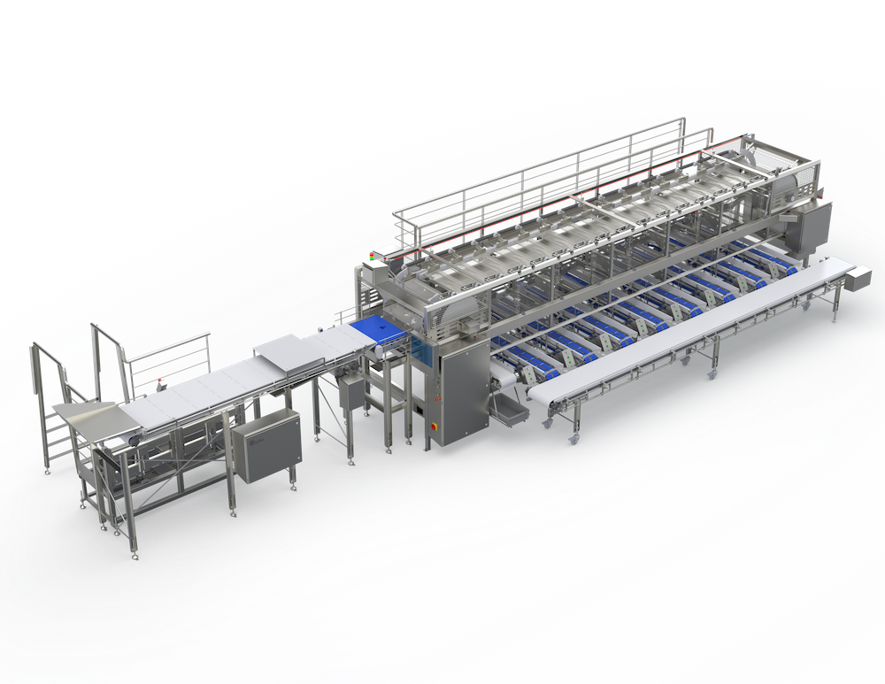 Advanced frozen fish processing solutions introduced by Valka | IceNews ...